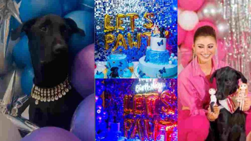 Urvashi Rautela's Extravagant Gesture: A Dazzling Birthday Celebration ...
