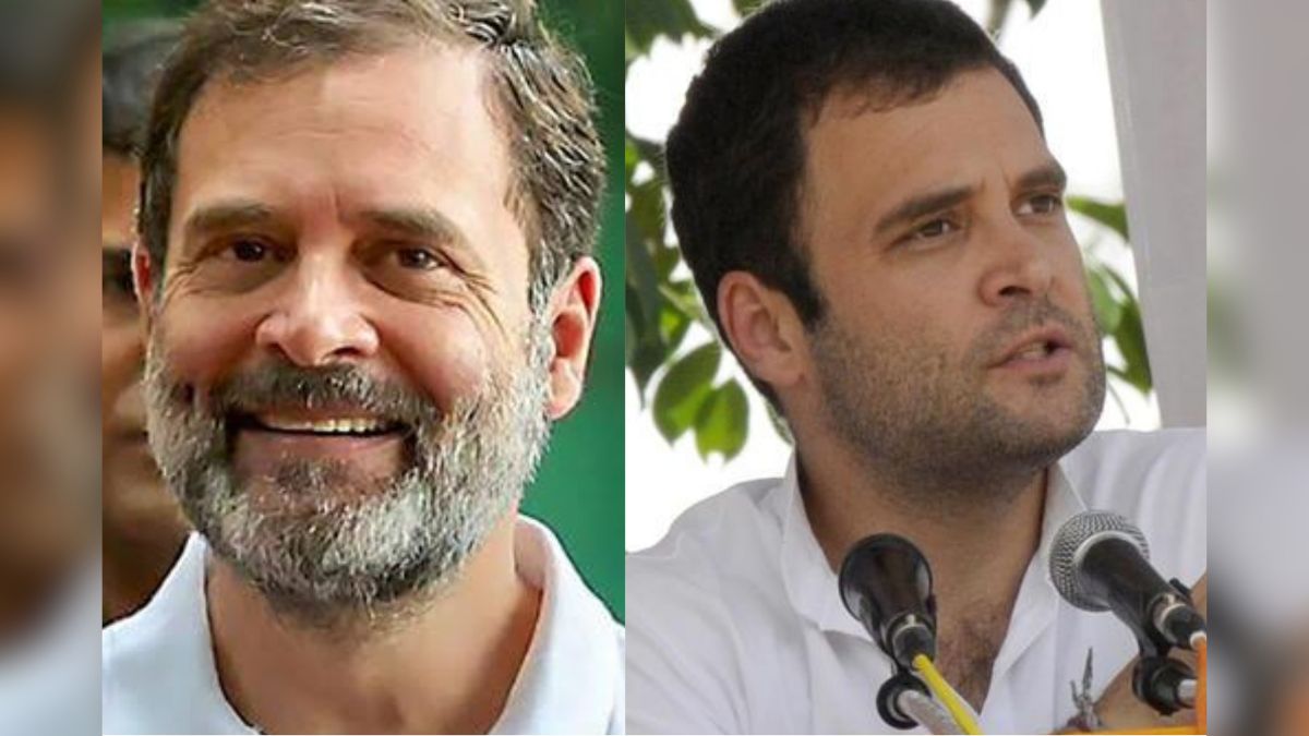 Rahul Gandhi (Politician) Wiki, Age, Biography, Wife, Family, Lifestyle ... Rahul Gandhi (Politician) Wiki, Age, Biography, Wife, Family, Lifestyle ...